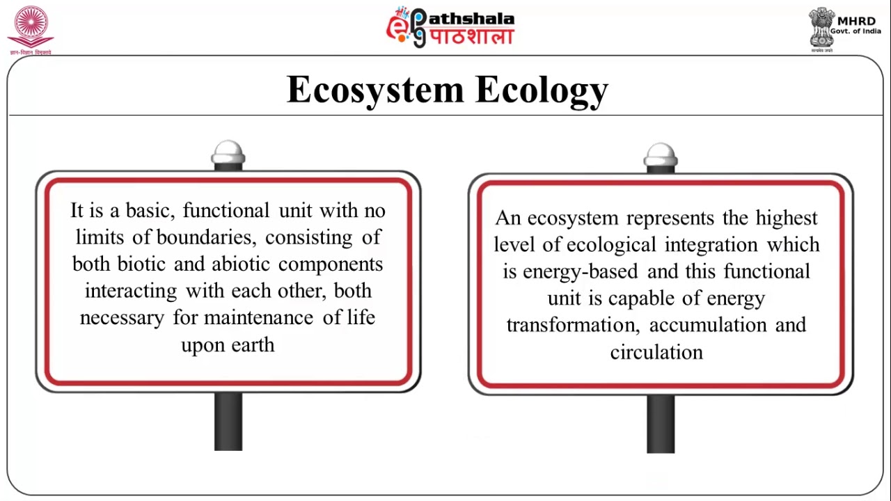 Ecosystem and Eco - sensitivity - YouTube
