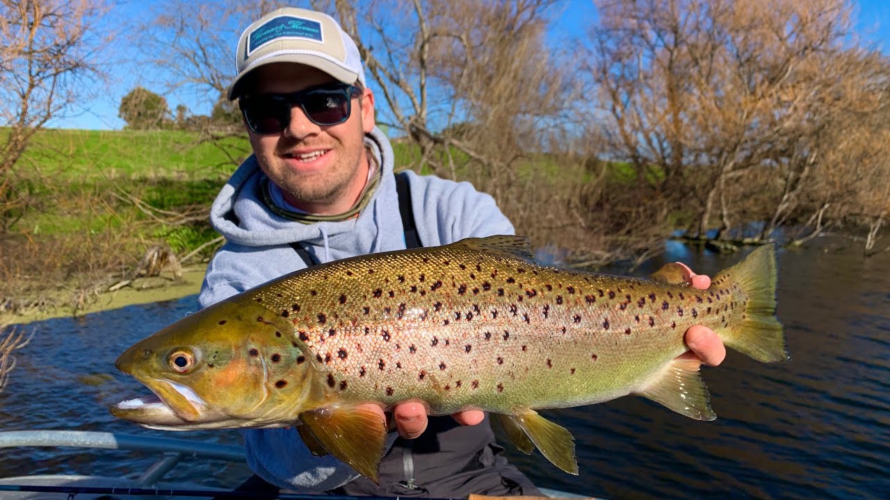 Winter Streamer Fishing for Brown Trout | Merri River, Victoria - YouTube