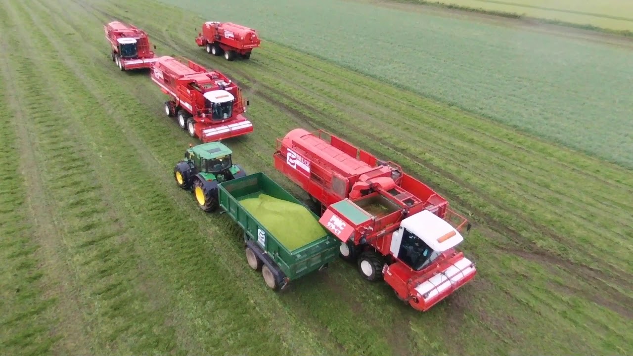 Pea harvest in Perthshire summer 2017 PMC harvesters Pea Viners - YouTube