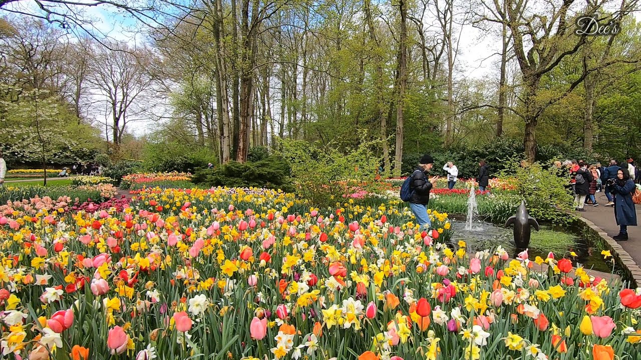 Walking in the world's most beautiful spring gardens. Keukenhof Gardens ...
