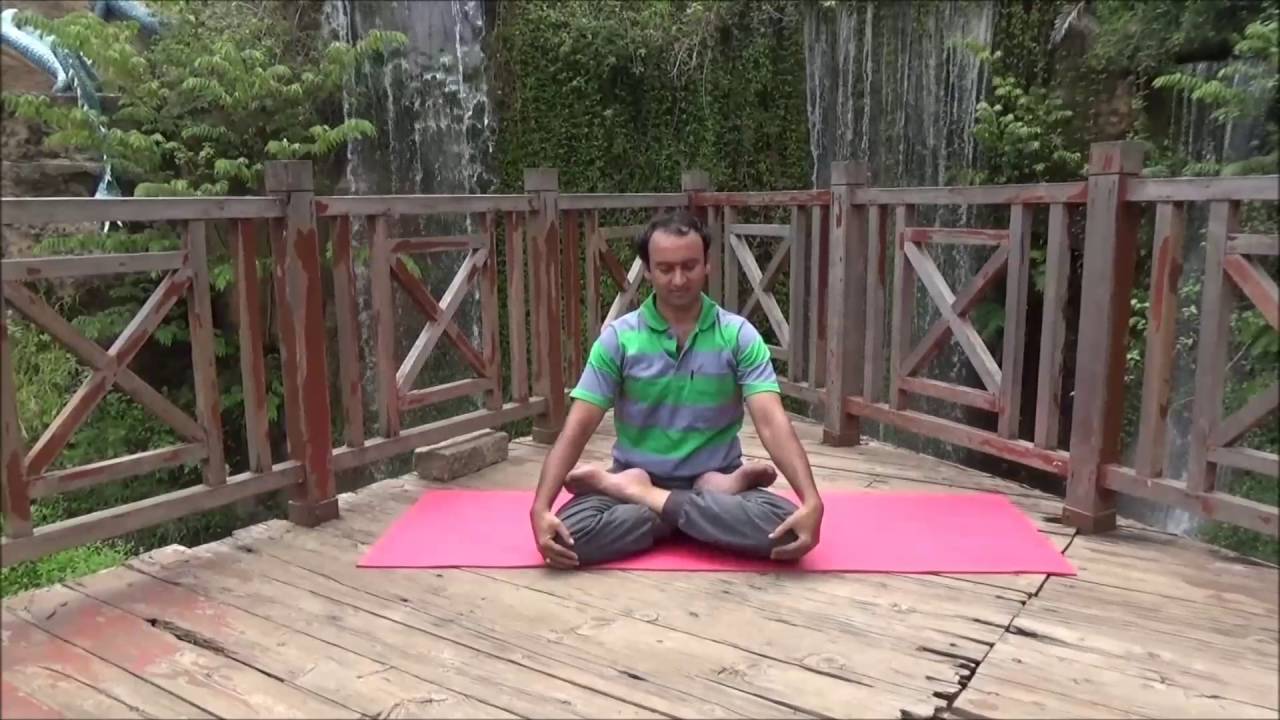 How to do Tolasana (scale pose) by N. Sheshagiri - YouTube