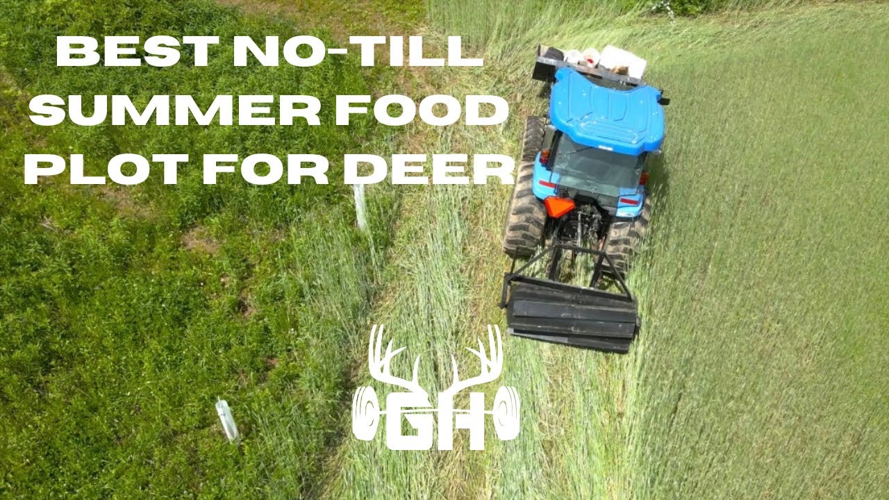 Whitetail Strategy // Best No-Till Summer Foodplot // GUNNAR HANSON - YouTube