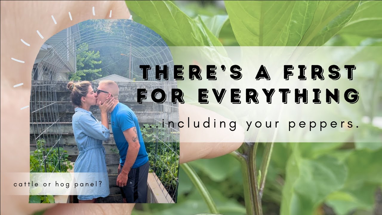 Adding Hog Panels To The Garden + Topping Pepper Plants | VLOG - YouTube