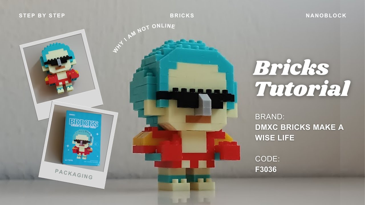 How to Build Franky One Piece Building Blocks | DMXC Bricks Make a Wise ...