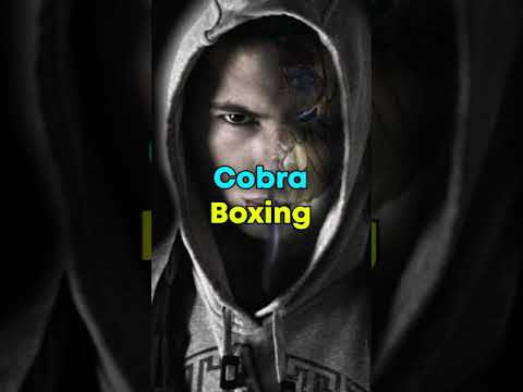 Cobra boxing, epic kidney shot at the end. - YouTube