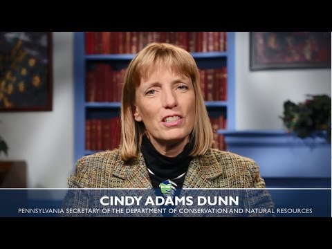 A Look at DCNR’s 2015 Accomplishments - YouTube