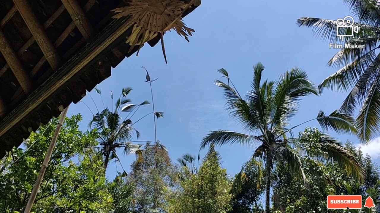 VIRAL!!! PINDEKAN BALI(TRADITIONAL WINDMILL) SUARA JOSSS - YouTube