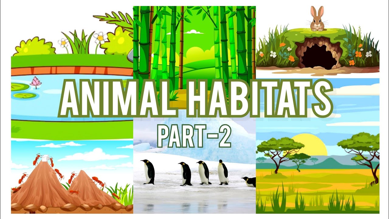 ANIMAL HABITATS Part-2 | Preschool learning | Educational video #evs # ...