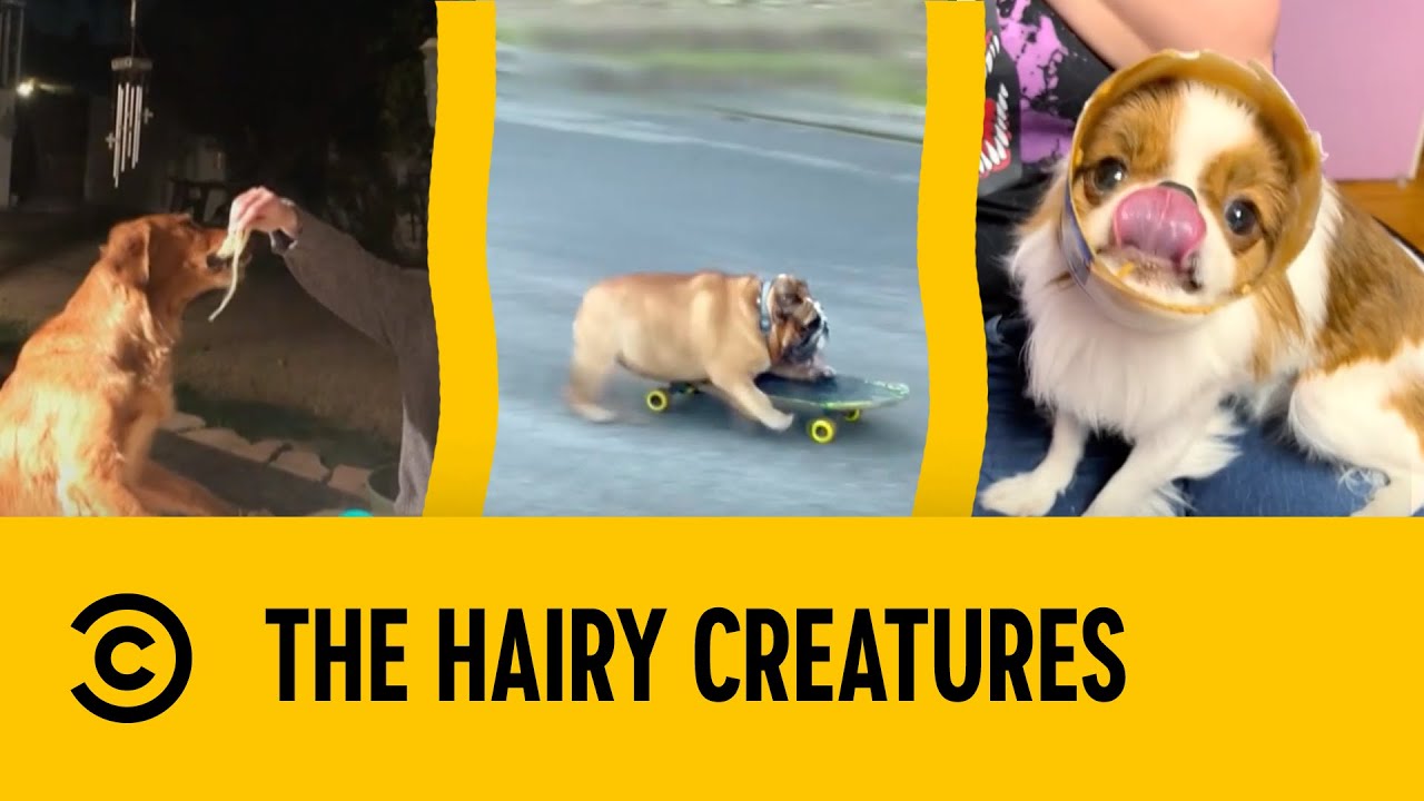 The Hairy Creatures | Most Ridiculous | Comedy Central Africa - YouTube