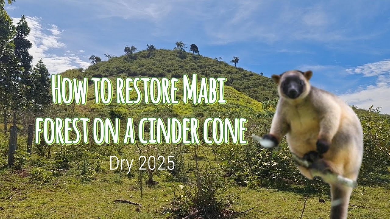 How to Restore Mabi Forest on a Cinder Cone - YouTube
