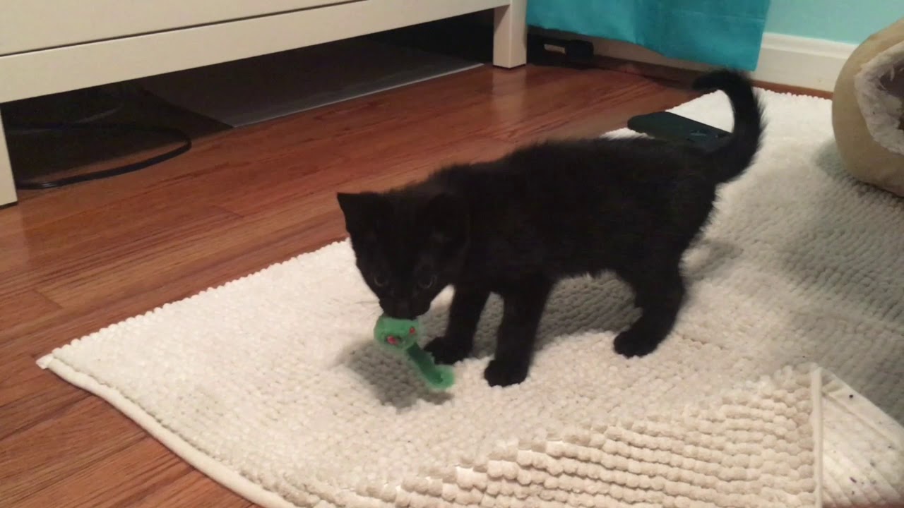 Thor & Loki: Welcome Home! - YouTube