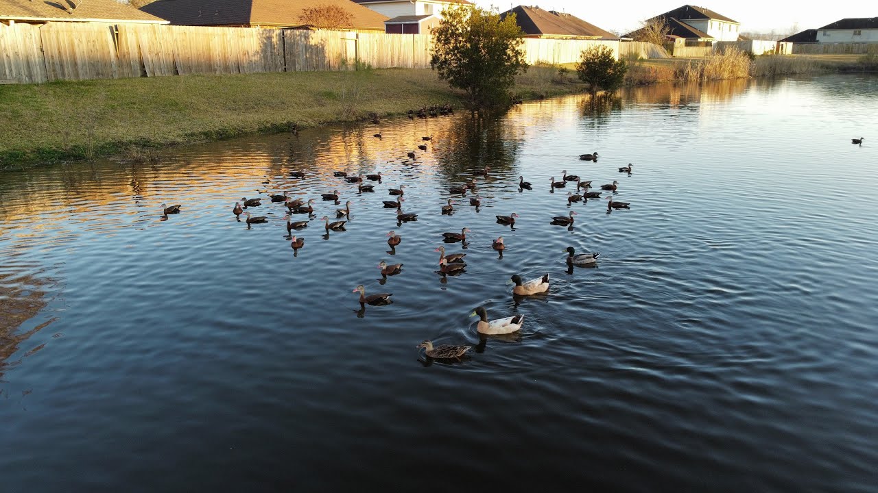Challenger Seven Memorial Park, 2301 W Nasa Rd, Webster, TX, United ...