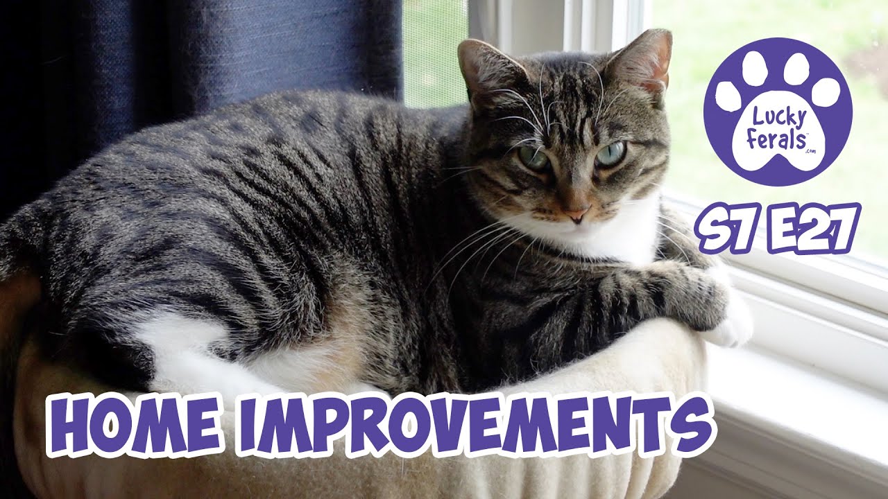 Home Improvements, Working From Home, Nancy vs Boo, Mail Time - S7 E27 ...