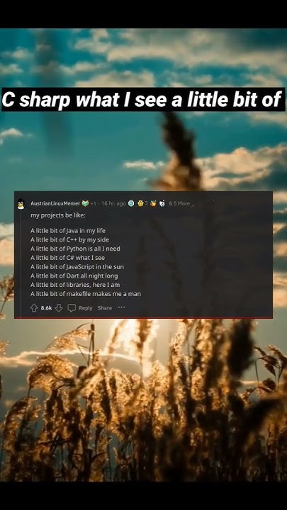 how many programming languages do you know ? #shorts #programming # ...