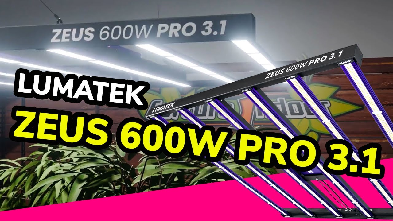 Lumatek Zeus 600W Pro 3.1 - YouTube