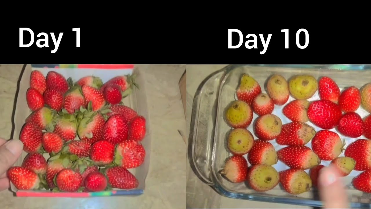 How to Store Strawberries|Strawberry store kaise karen| Best Way to ...