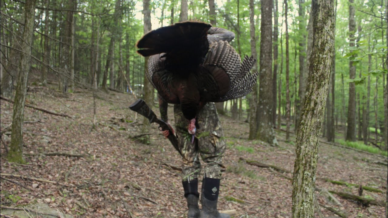 Turkey Hunting: The Art Of The Run & Gun - YouTube