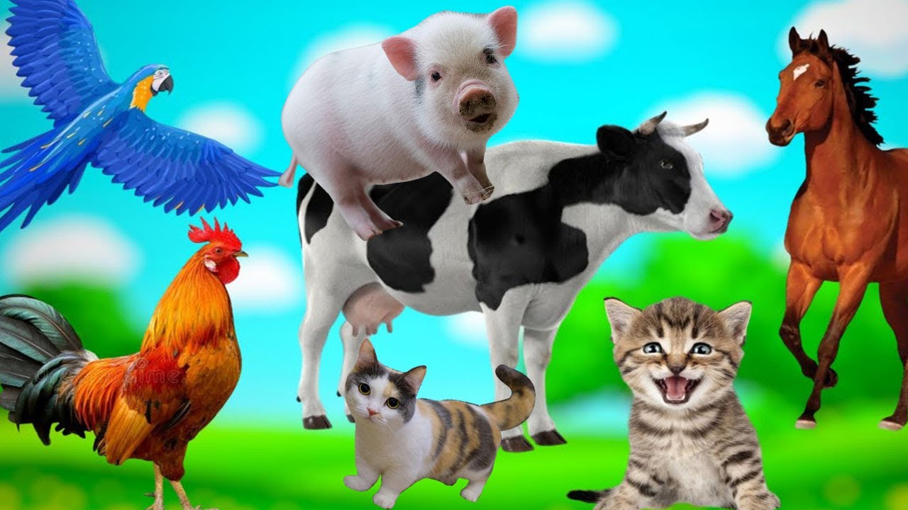 Funny Animal Sounds in 30 Minutes: Ostrich, Chicken, Rhino, Eagle, Hen ...