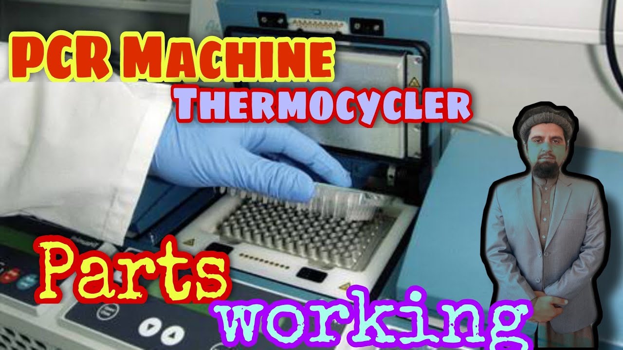 Thermocycler | PCR-Machine| E-Learn With Zakir| - YouTube