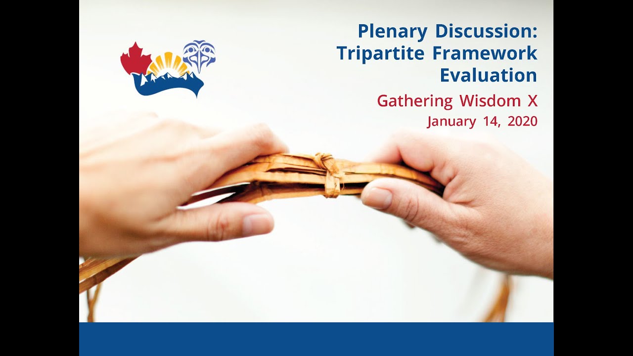 Tripartite Framework Evaluation Plenary Discussion - YouTube