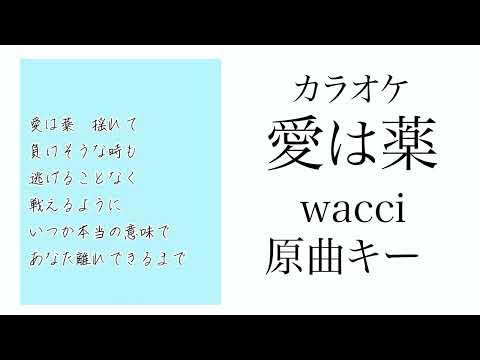 カラオケ『 愛は薬 / wacci 』【TVアニメ 薬屋のひとりごと 第2クールエンディングテーマ】 - YouTube