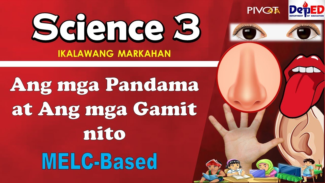 Ang mga Pandama at Ang mga Gamit nito | with Activities and Answer Key ...
