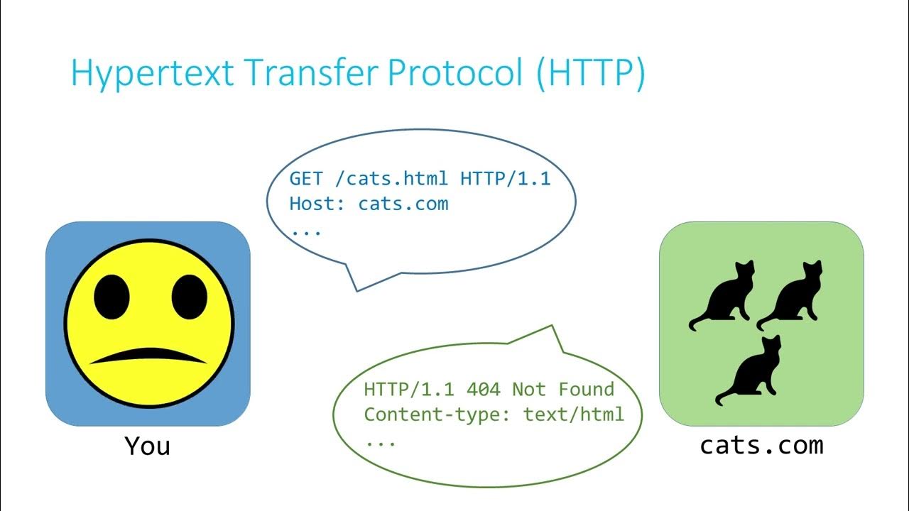 CS50 MCZ - HTTP - CS50 Shorts - YouTube
