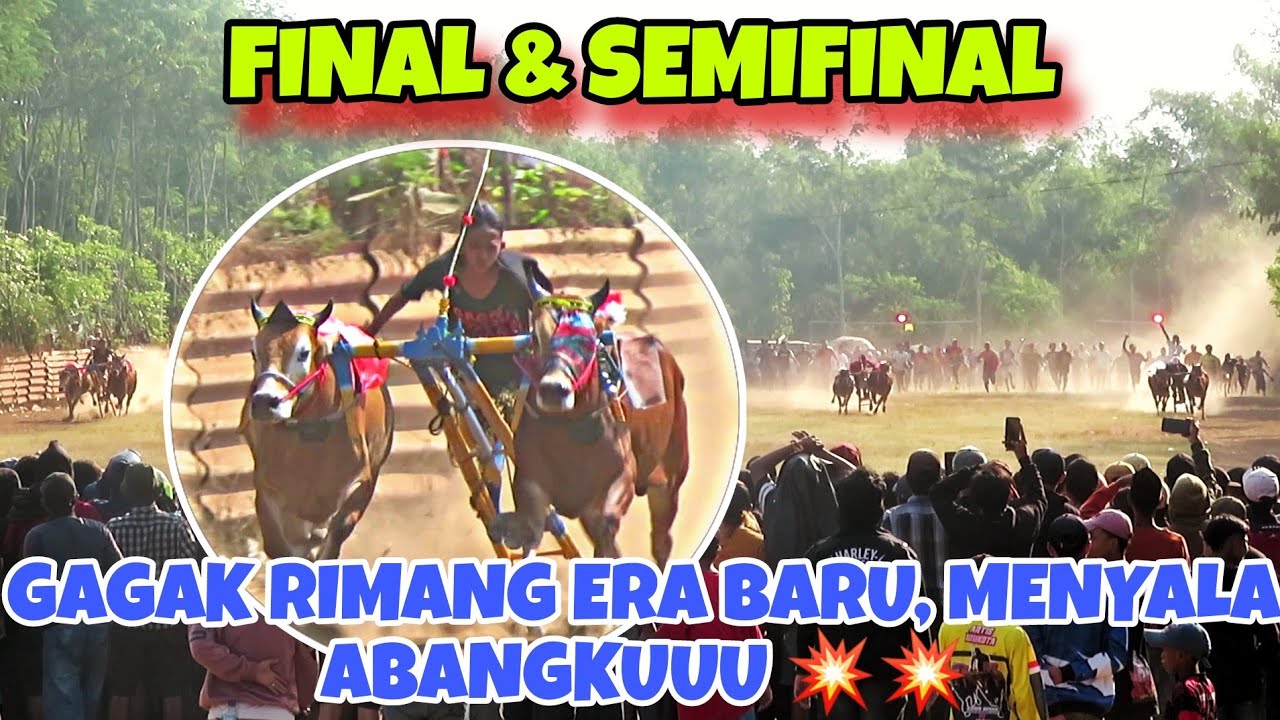 BABAK FINAL & SEMIFINAL KERAPAN SAPI PERANG BINTANG TEMPURAN || HUT TIM ...