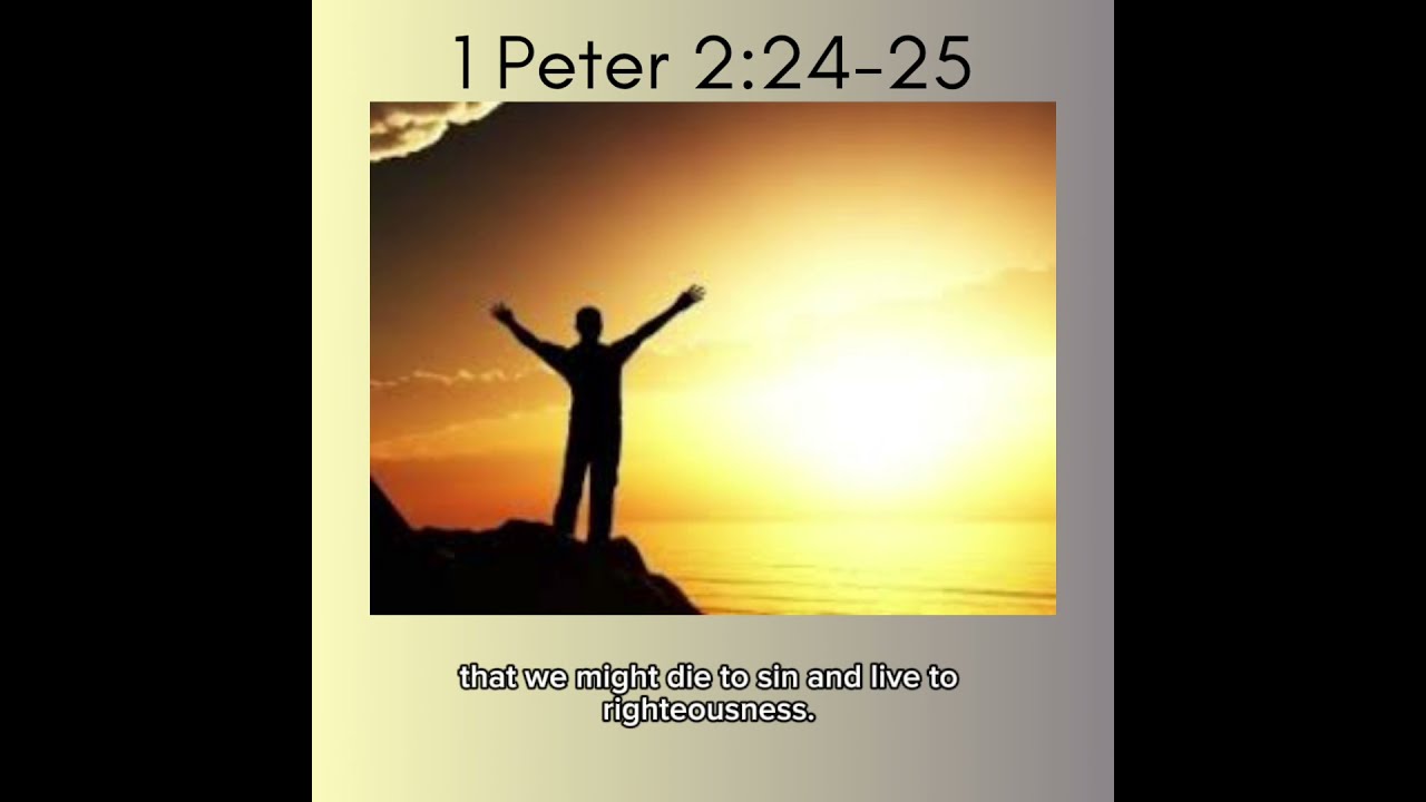 1 Peter 2 24 25 YouTube 1 Peter 2 24 25 YouTube