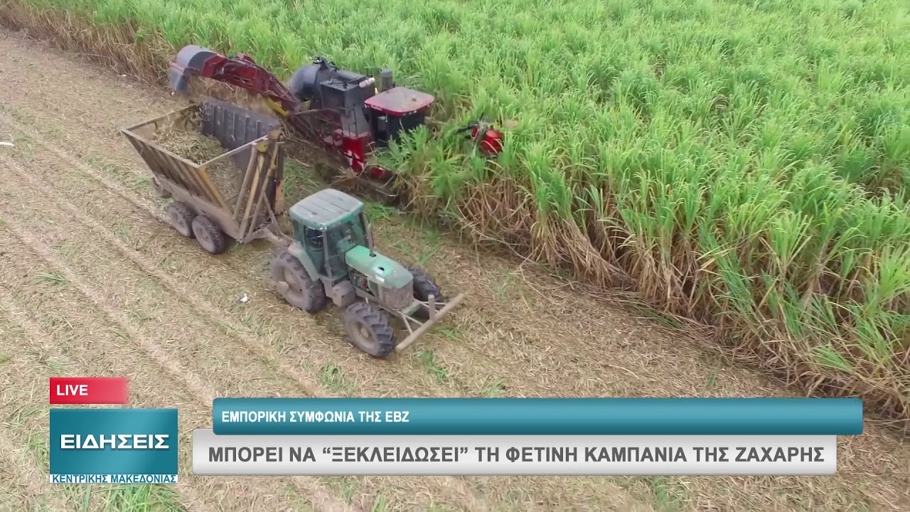 ΜΠΟΡΕΙ ΝΑ ''ΞΕΚΛΕΙΔΩΣΕΙ'' ΤΗ ΦΕΤΙΝΗ ΚΑΜΠΑΝΙΑ ΤΗΣ ΖΑΧΑΡΗΣ - YouTube