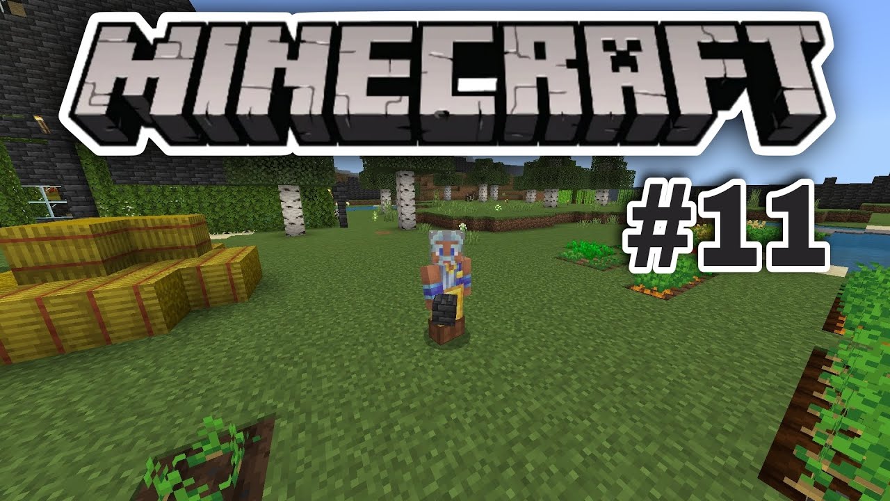 MINECRAFT | #11 - YouTube