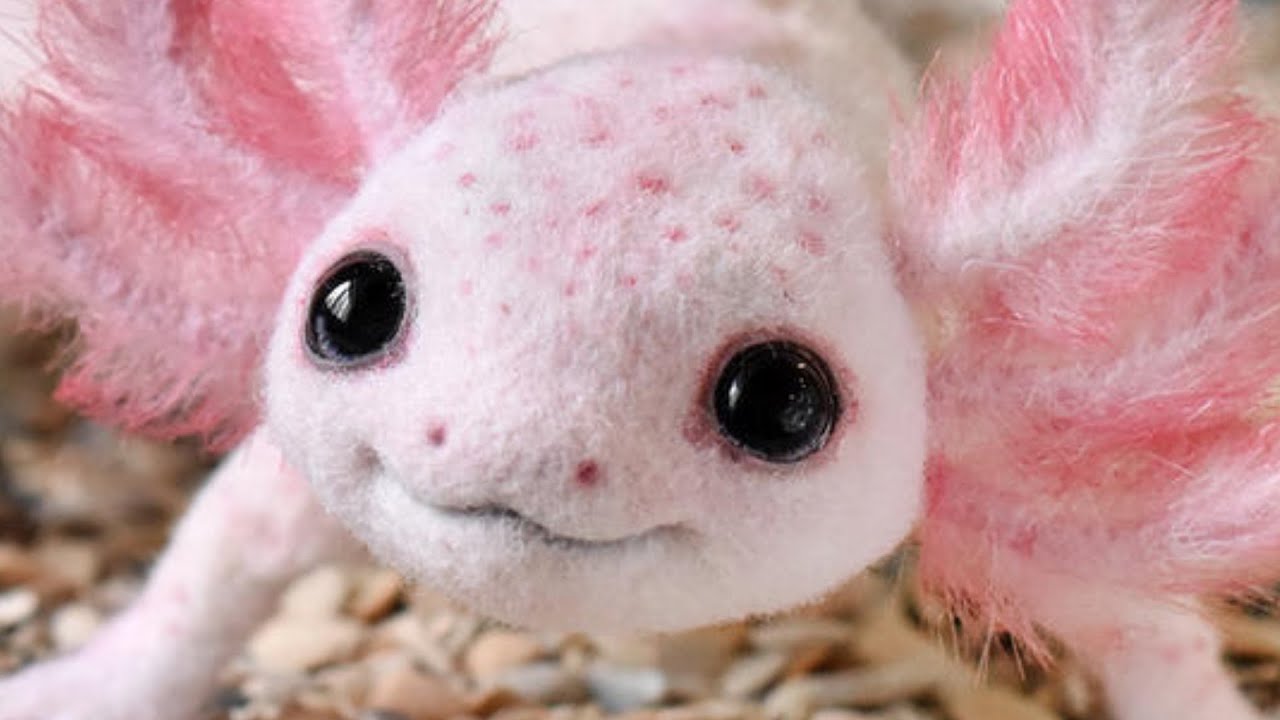 64 Bits 32 Bits 16 Bits 8 Bits 4 Bits 2 Bits 1 Bit Pink Axolotl RTX ON ...