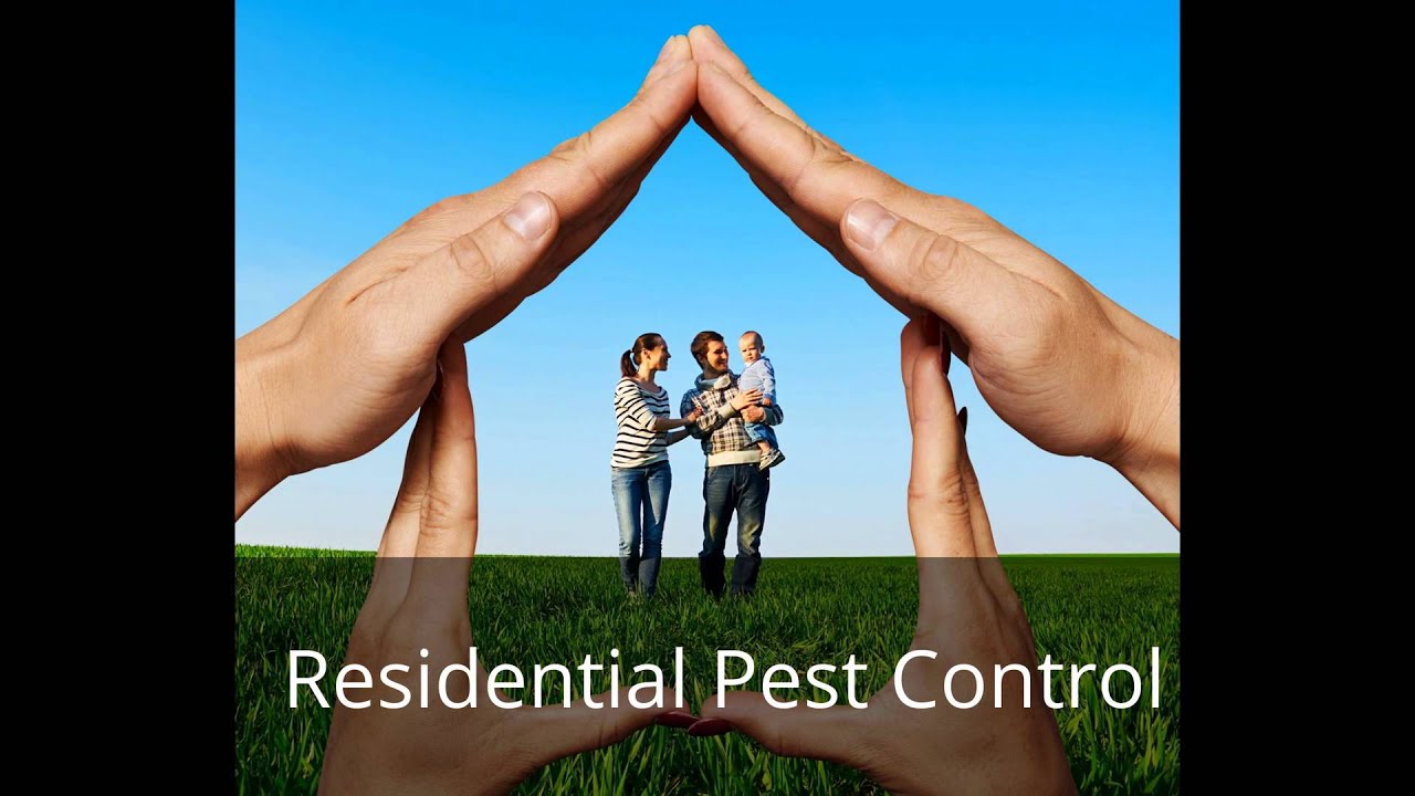 Why should you choose Atlas Pest Control? - YouTube