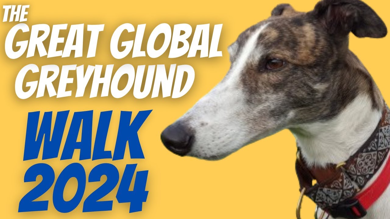 The Great Global Greyhound Walk 2024 -Edinburgh Scotland Walk - YouTube