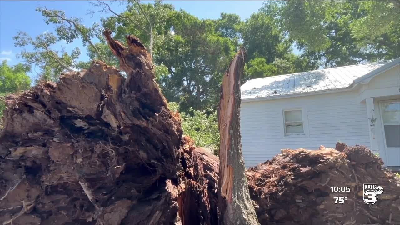 Fallen tree nearly crushed two homes due to severe weather - YouTube