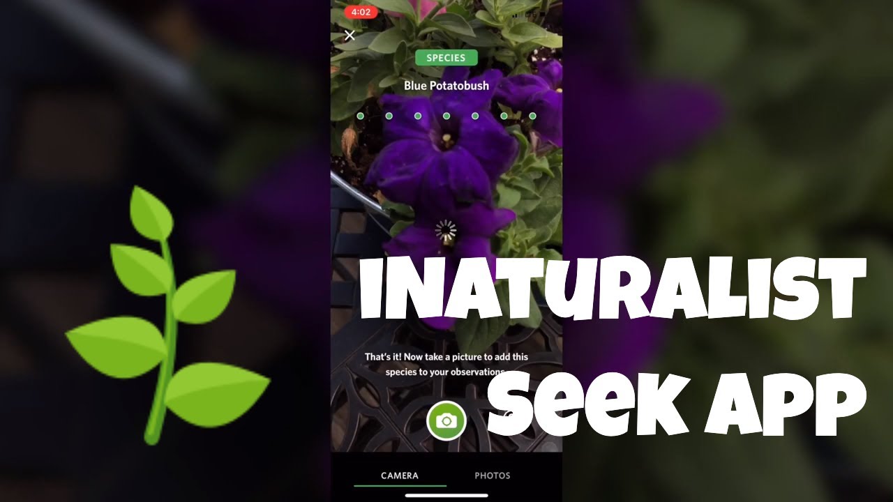 Seek iNaturalist App Intial Review - YouTube