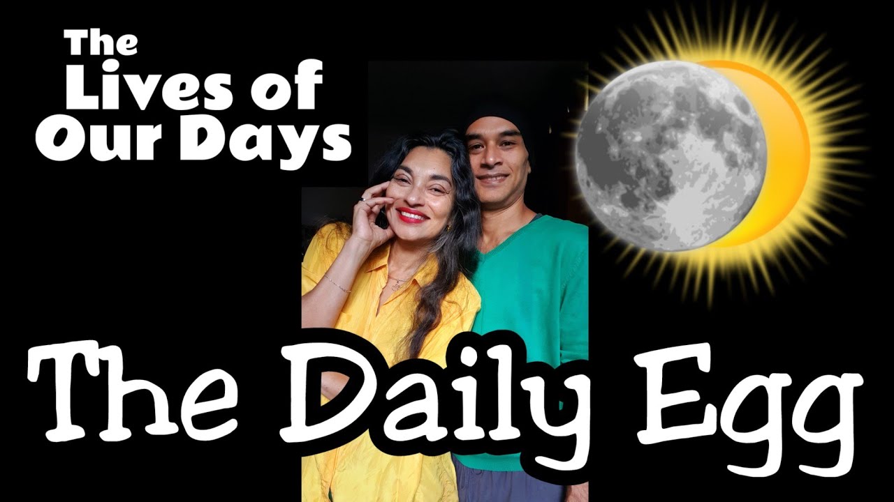 The Daily Egg Apr 8 - YouTube
