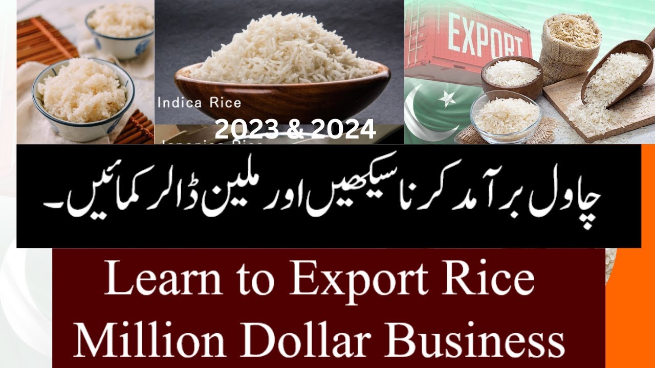 Rice Export Business Complete Guide Million Dollar Business #rice # ...