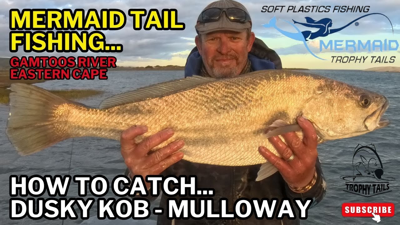 How to catch Summer Kob - Trophy Tails Mermaid Tail doing the Business ...