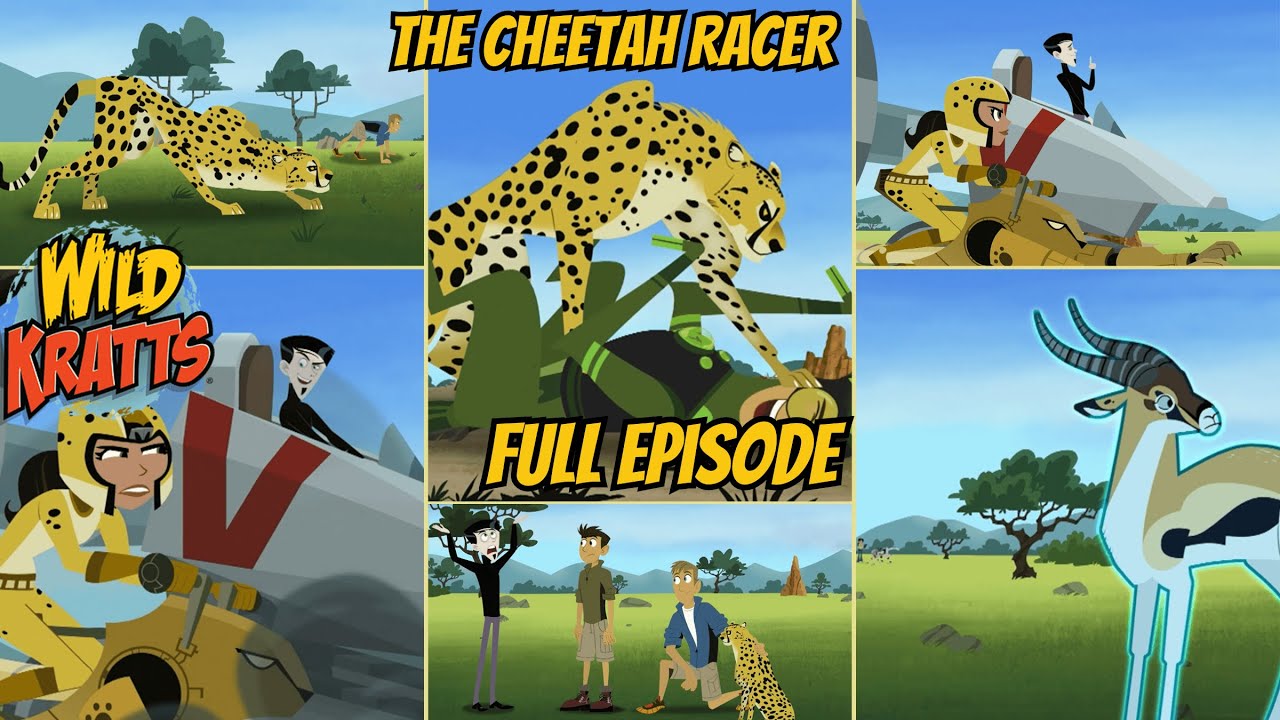 Wild Kratts S01E23 - Cheetah Racer - YouTube
