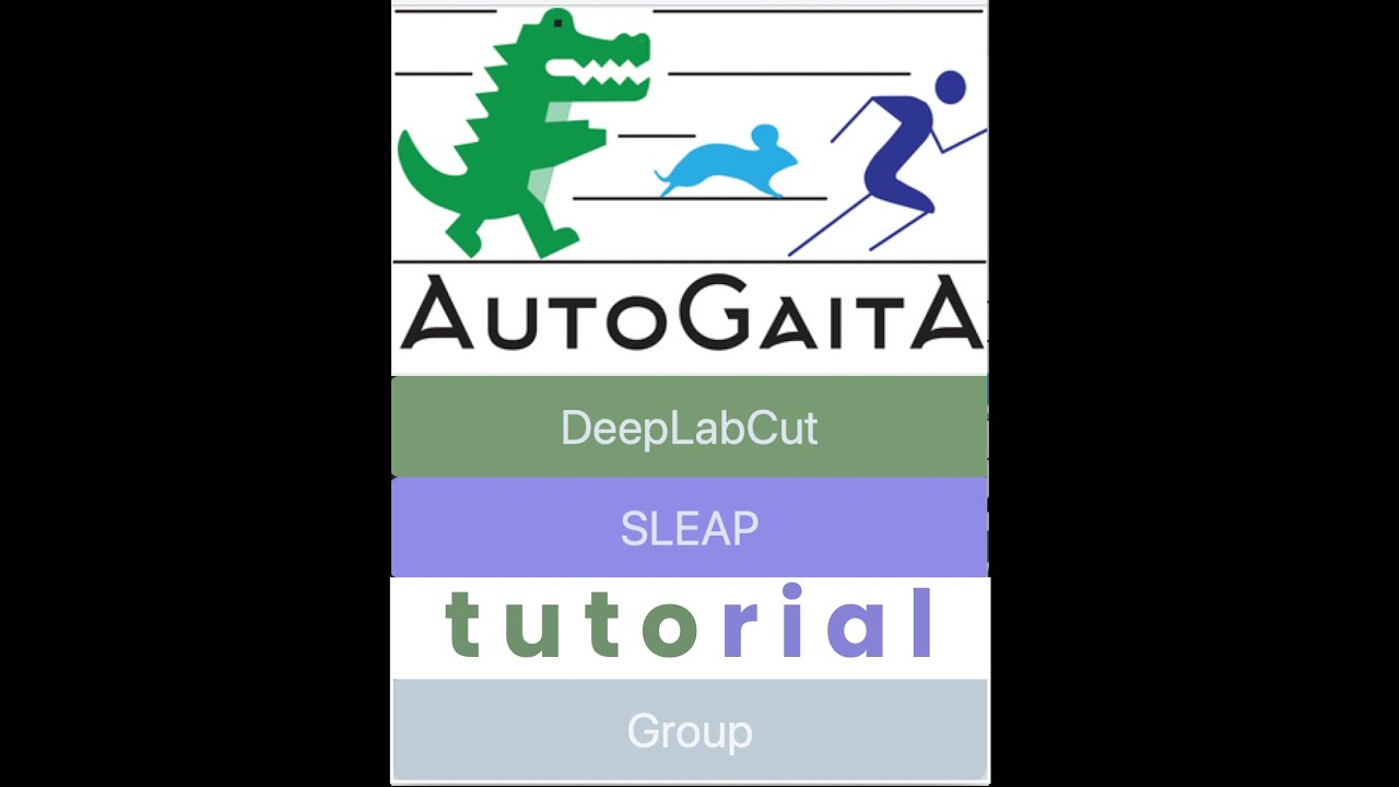 AutoGaitA DLC/SLEAP Main Tutorial - Overall Workflow & Main Configurations - YouTube