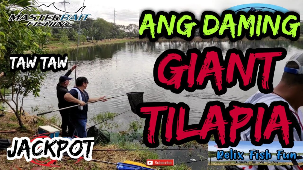 GIANT TILAPIA JACKPOT | GRABE ANG DAMING TILAPYA | FISH POND | RELIX ...