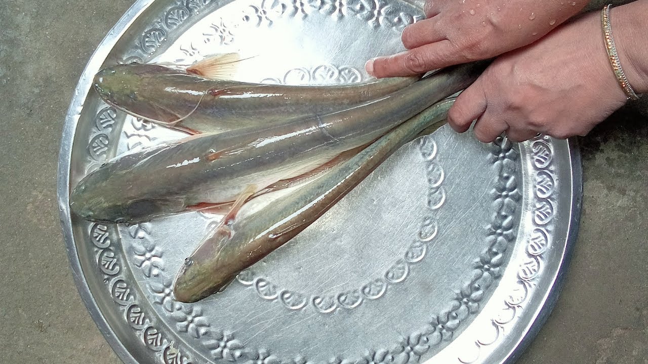 MASALA FISH CURRY RECIPE 🔥🔥| Padina/Lapchi Fish Curry Indian Style ...