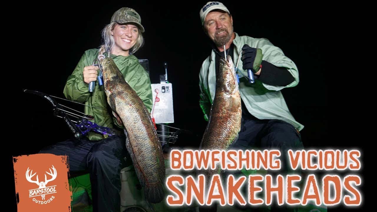Bow Fishing for the Vicious Snakehead - YouTube