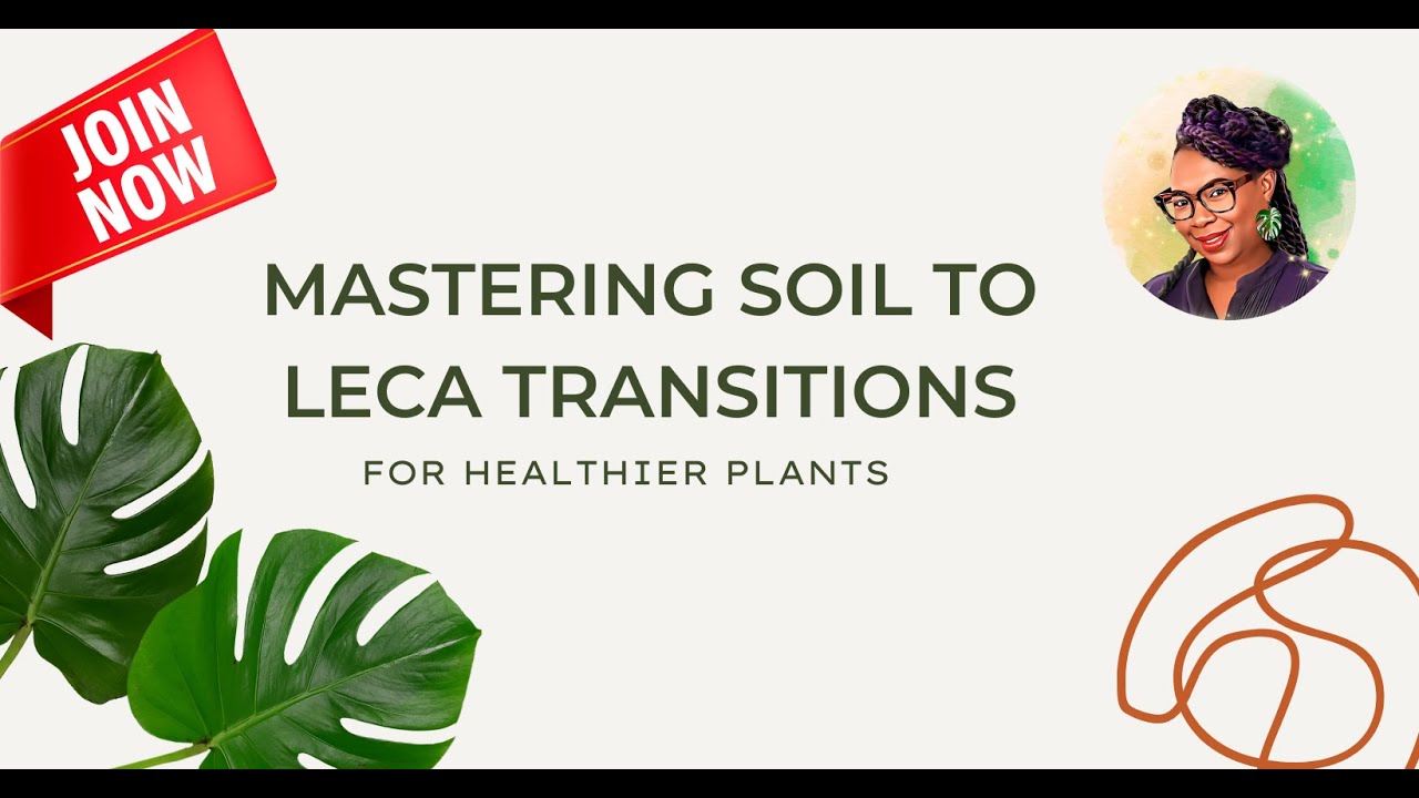 Get On The Waitlist For The Mastering Soil To Leca Transitions Course ...