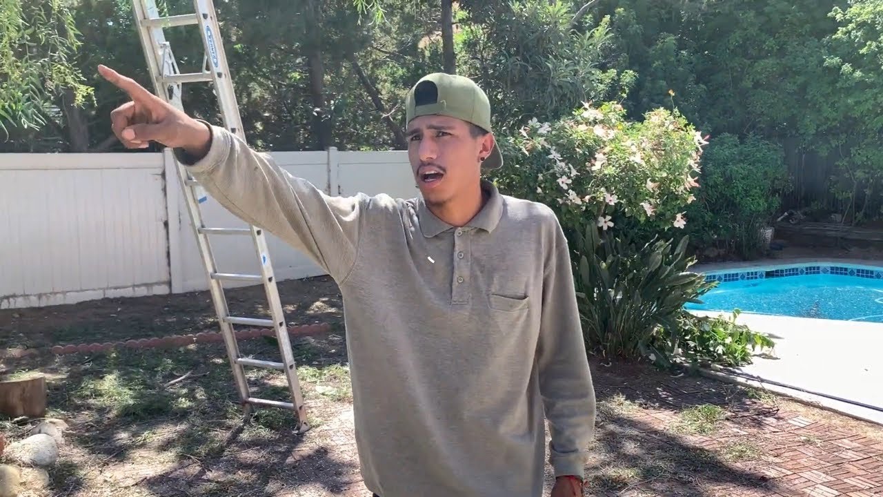 @Jerry Tweek Corta Un Arbol Muy Grande 🤣 **WORK ROUTINE** - YouTube