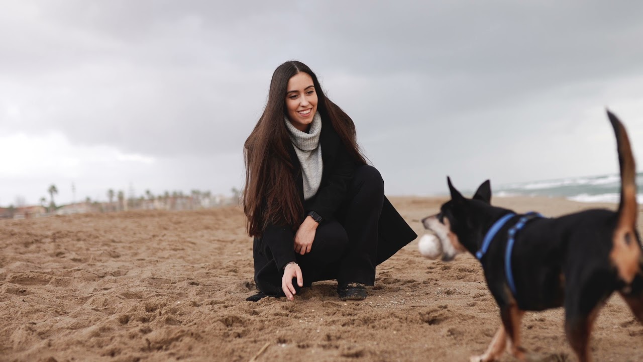 Kyut dog क्यूट डॉग डॉग ट्रेनिंग - YouTube