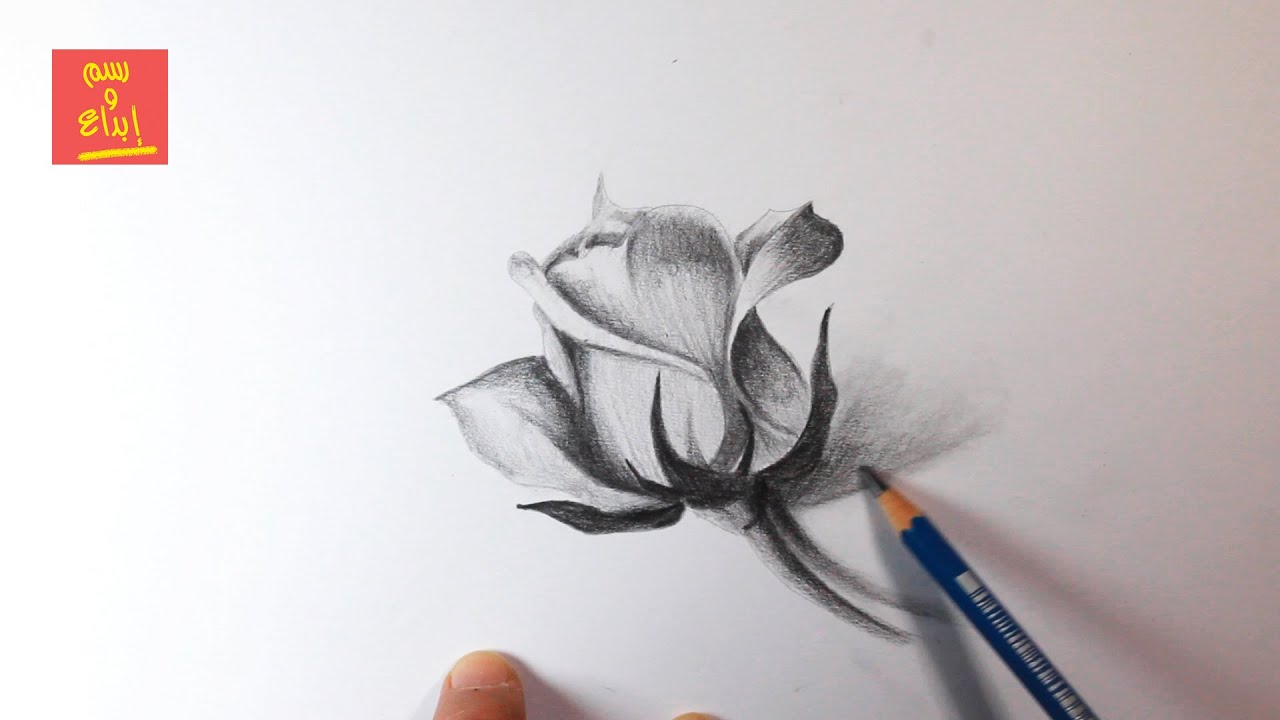How to draw a flower step by step / learn to draw - YouTube