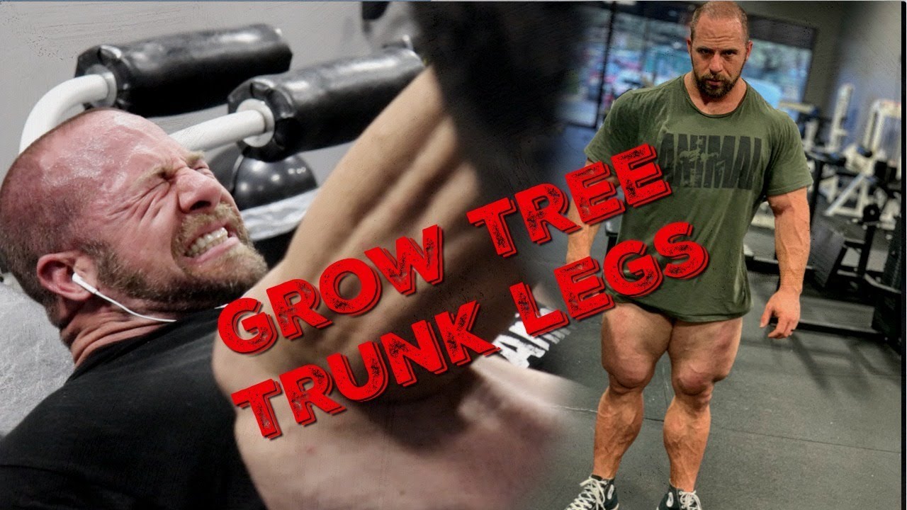 Leg Workout | Hams and Glutes - YouTube