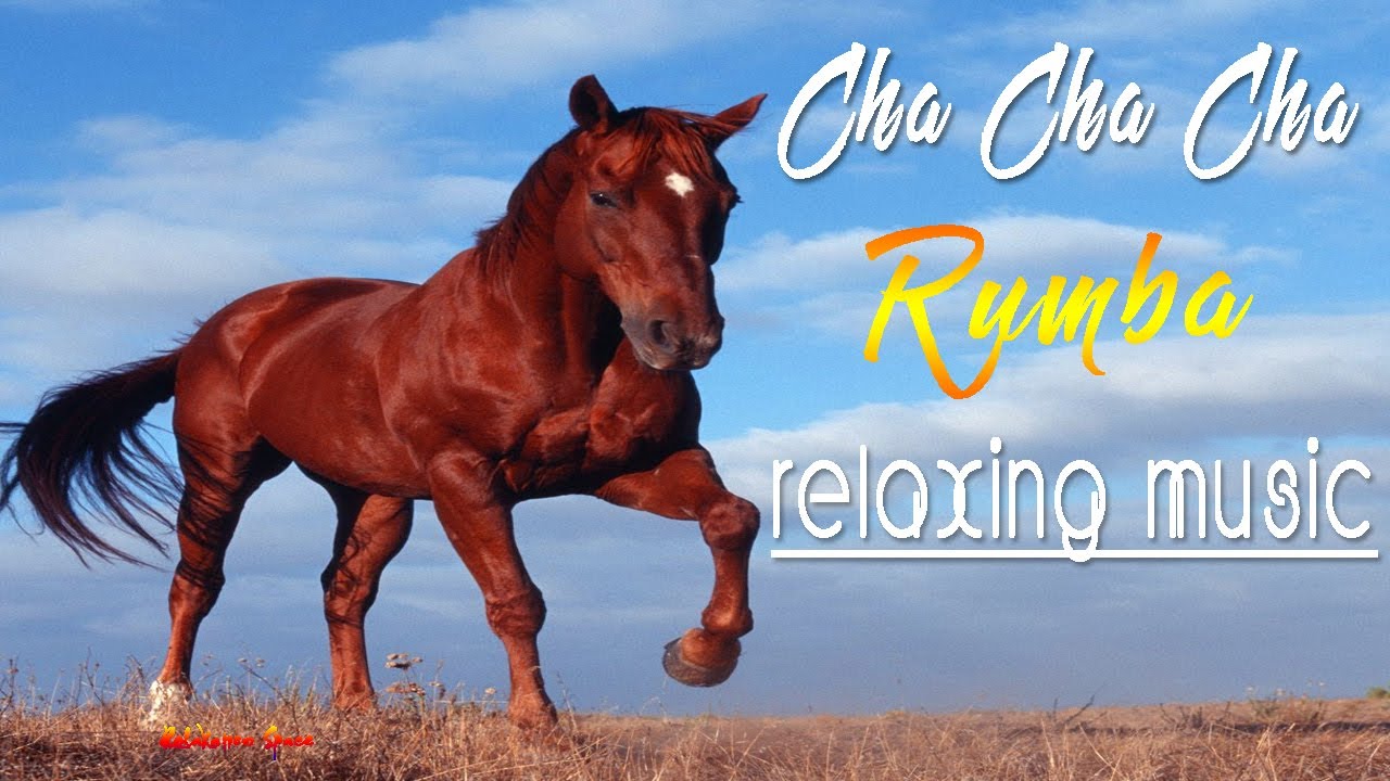 Top Latin, Cha Cha Cha - Rumba, Great Relaxing Music | Instrumentals ...